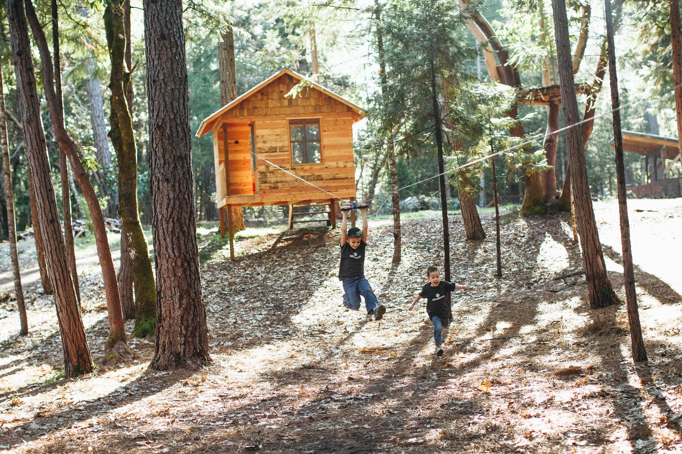 Little Backyard Zip Line